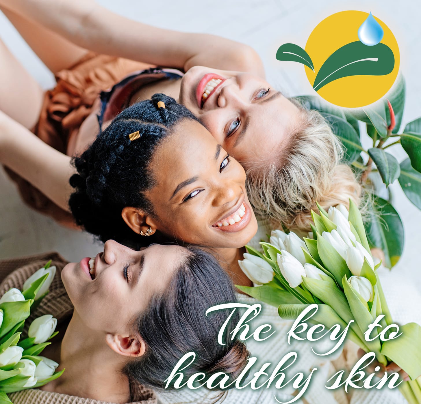 Your Environment and Your Skin - Clave Body Care